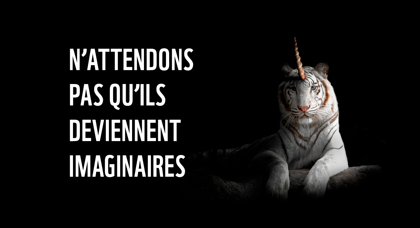 WWF Stop Extinction Saison 1 - N'attendons pas que la faune sauvage ...